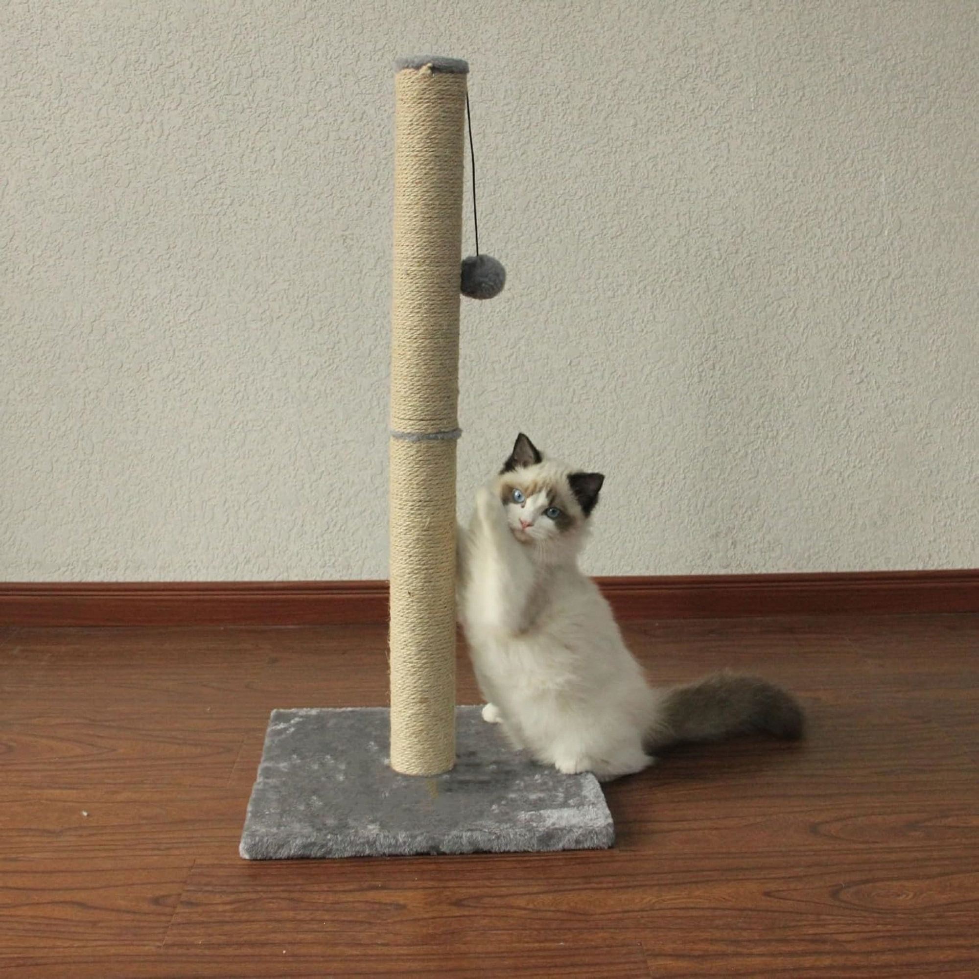 Archie & Oscar™ Cat Scratching Post Claw Sharpening Scratching Post ...