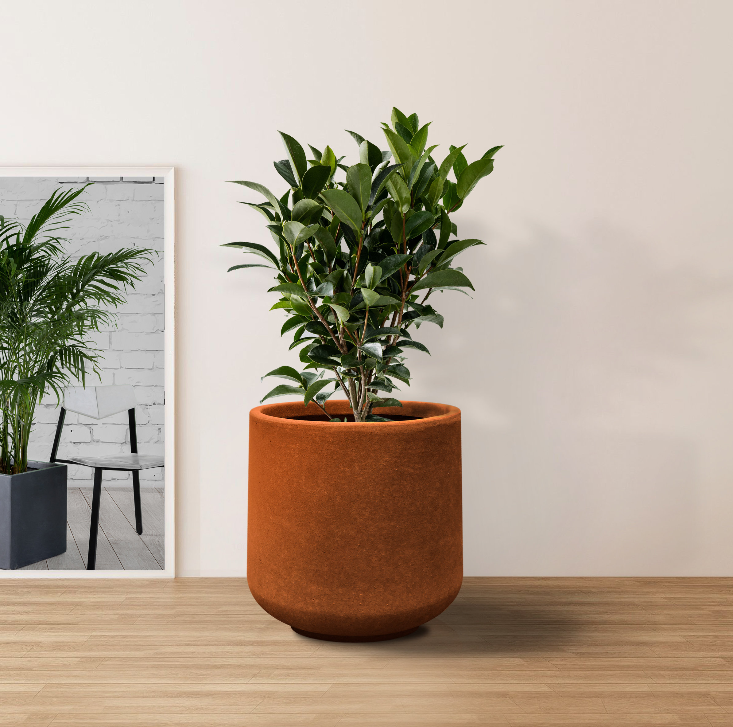 Ivy Bronx Sykes Pot Planter | Wayfair