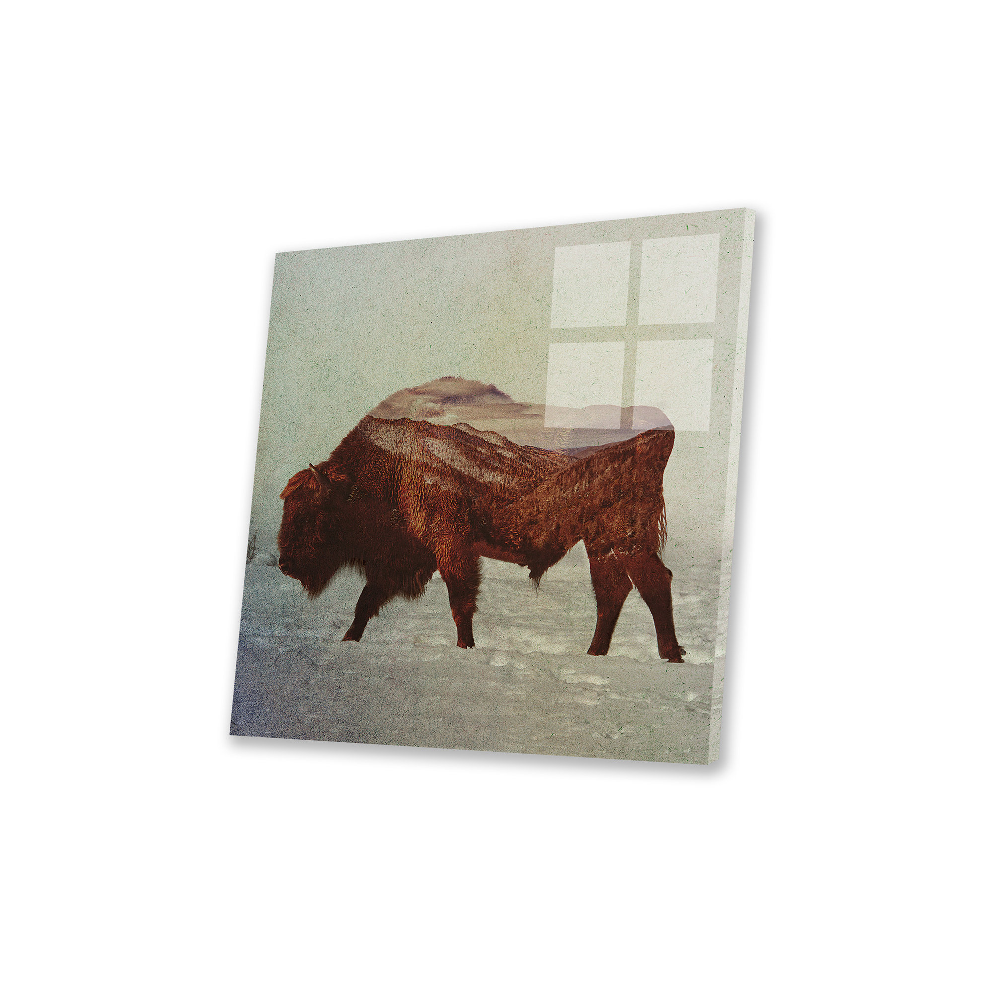 Union Rustic Kaceon Bison II On Plastic/Acrylic by Andreas Lie Print ...