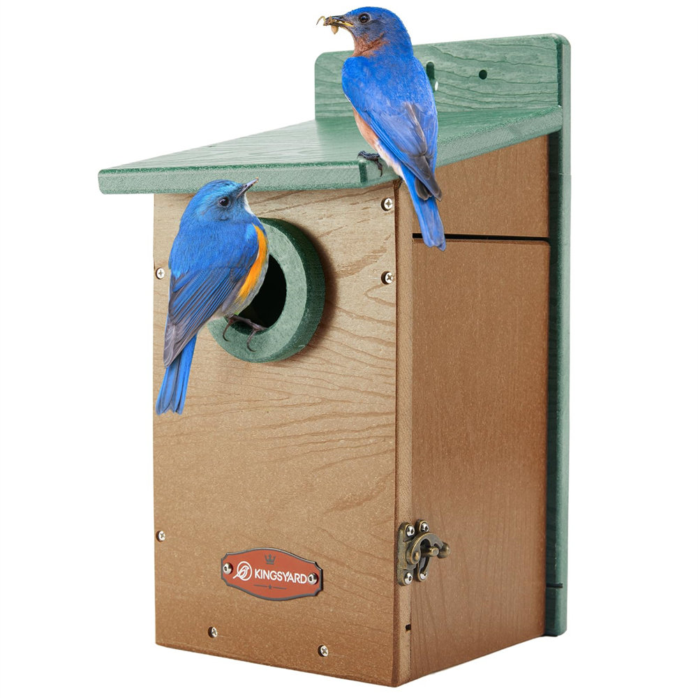 Arlmont & Co. Bluebird House With Predator Guard, Nesting Box Birdhouse ...