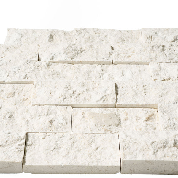 Patara Stone Fossil Stone 2" x 4" Limestone Brick Joint Mosaic Wall ...