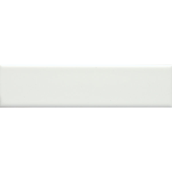 Emser Tile Catch™ 2" x 8" Glossy Ceramic Subway Tile | Wayfair