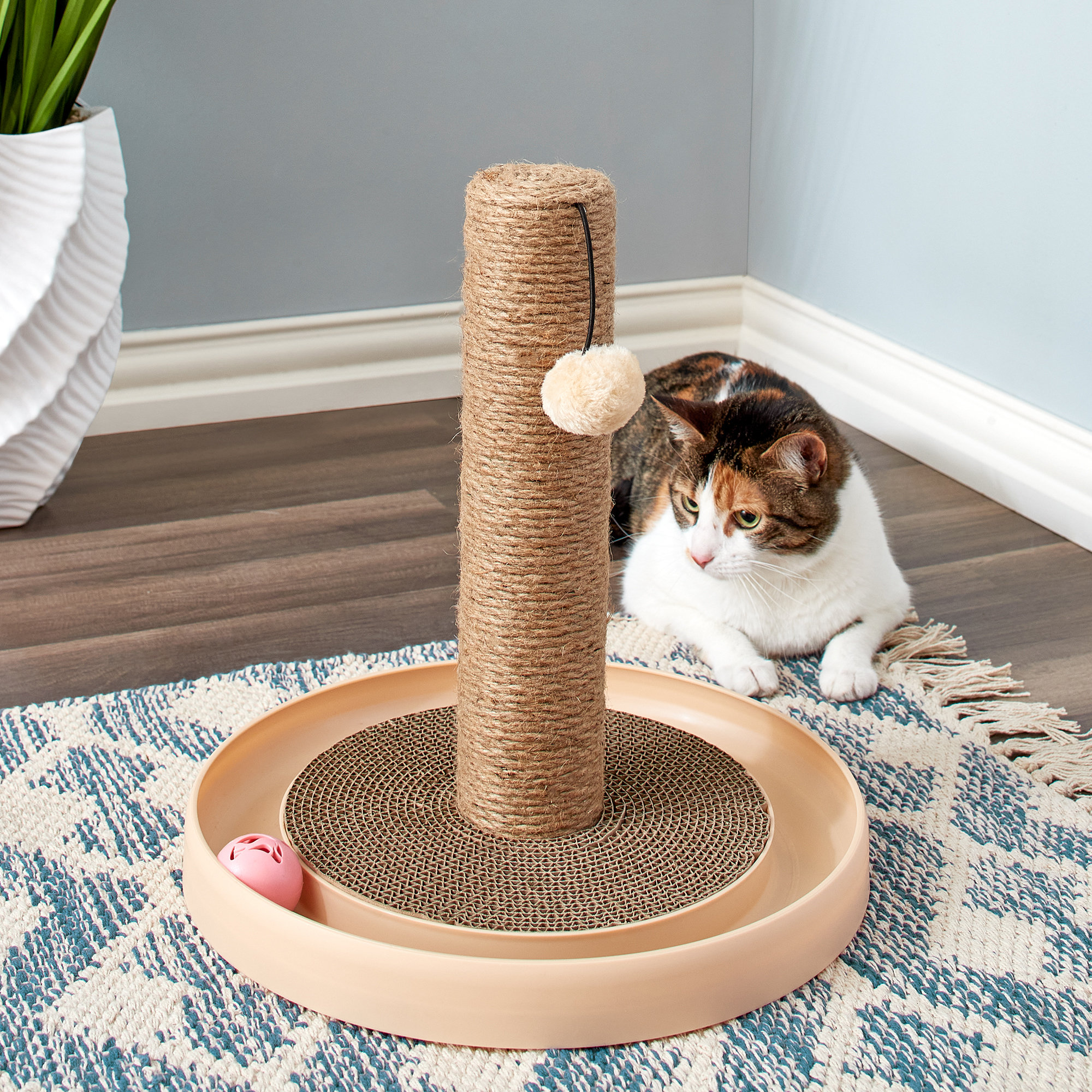 Tucker Murphy Pet™ Elnorah Scratching Post | Wayfair