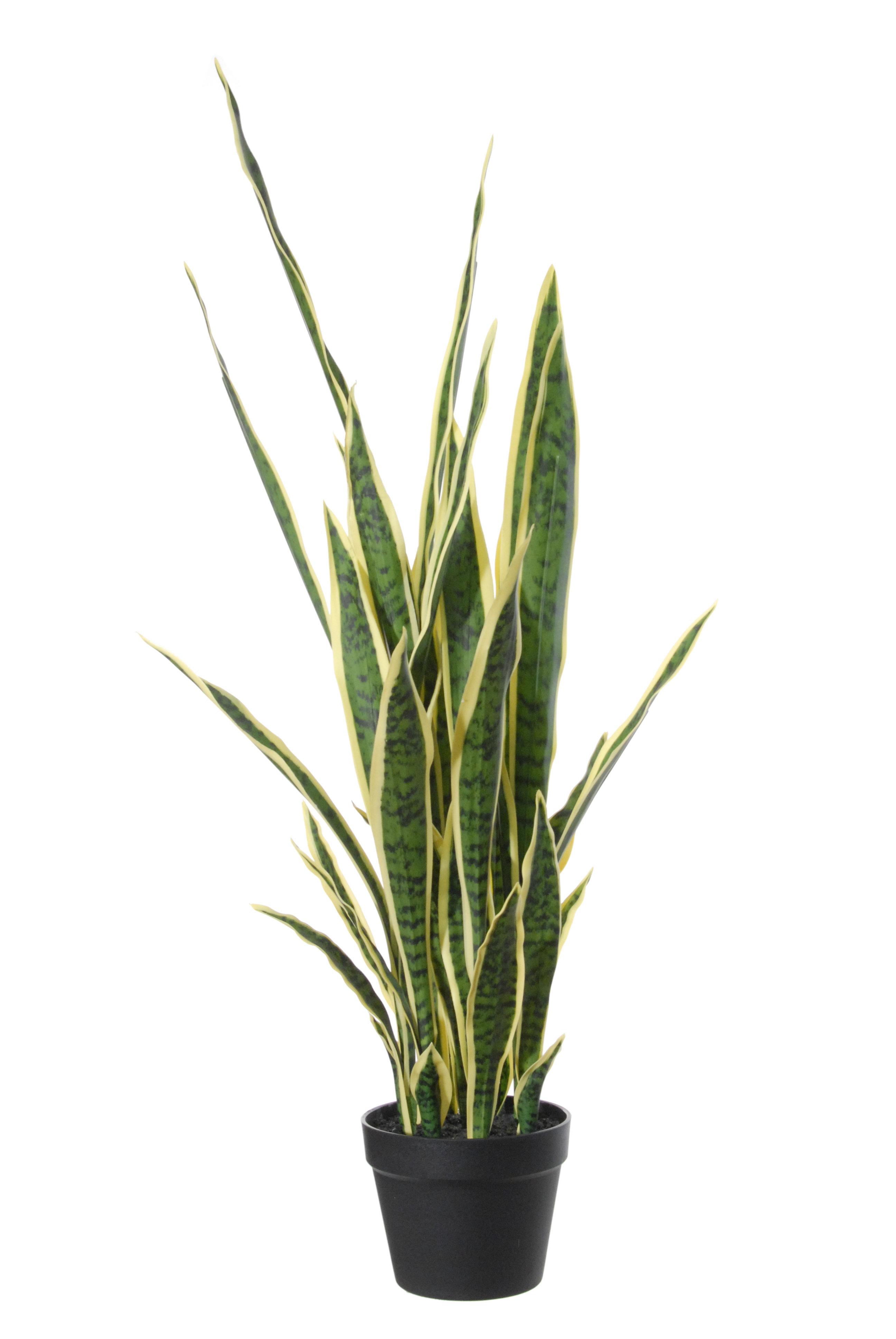 The Seasonal Aisle 81cm Artificial Snake plant Tree in Pot | Wayfair.ie