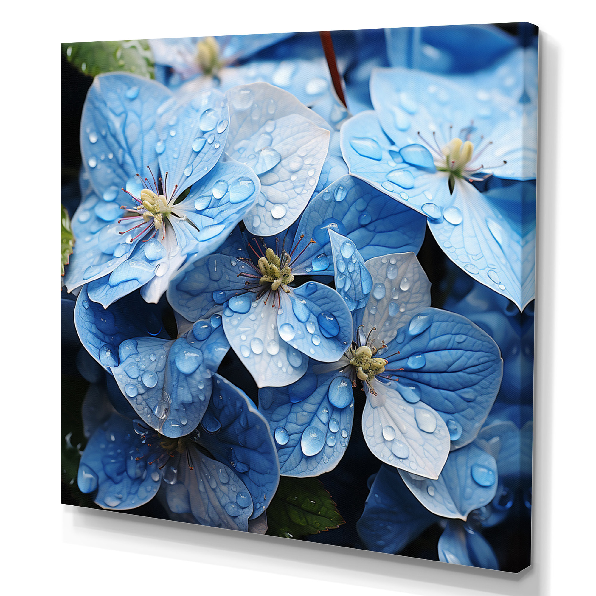 Latitude Run® Blue Hydrangea Celestial Petals - Print | Wayfair