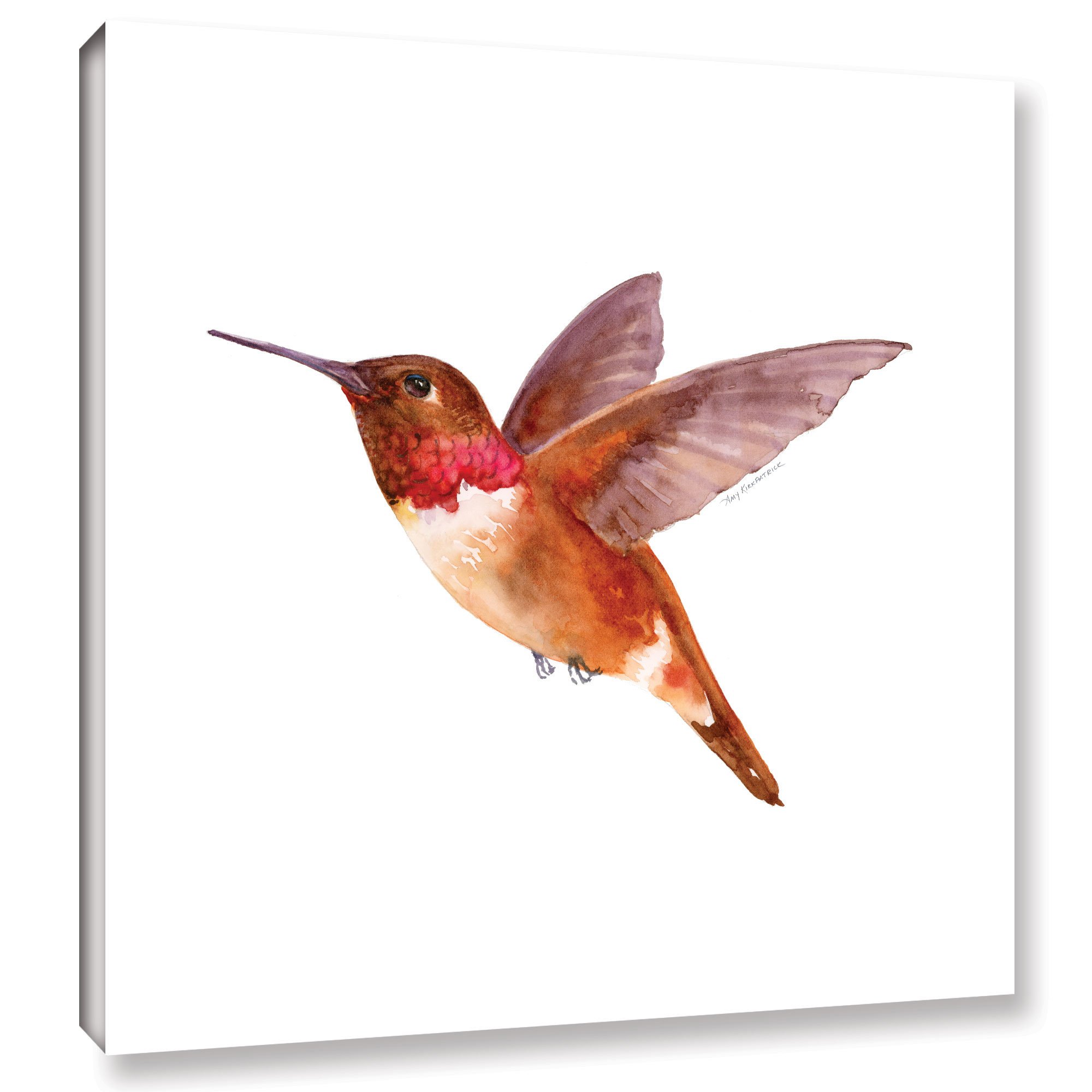 August Grove 'Rufous Hummingbird' Painting Print on Wrapped Canvas ...