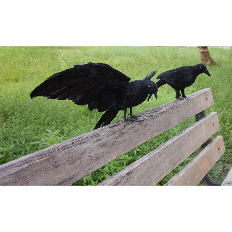 Ophelia & Co. 2-pack lifelike black feathered crows (13"+12") for ...