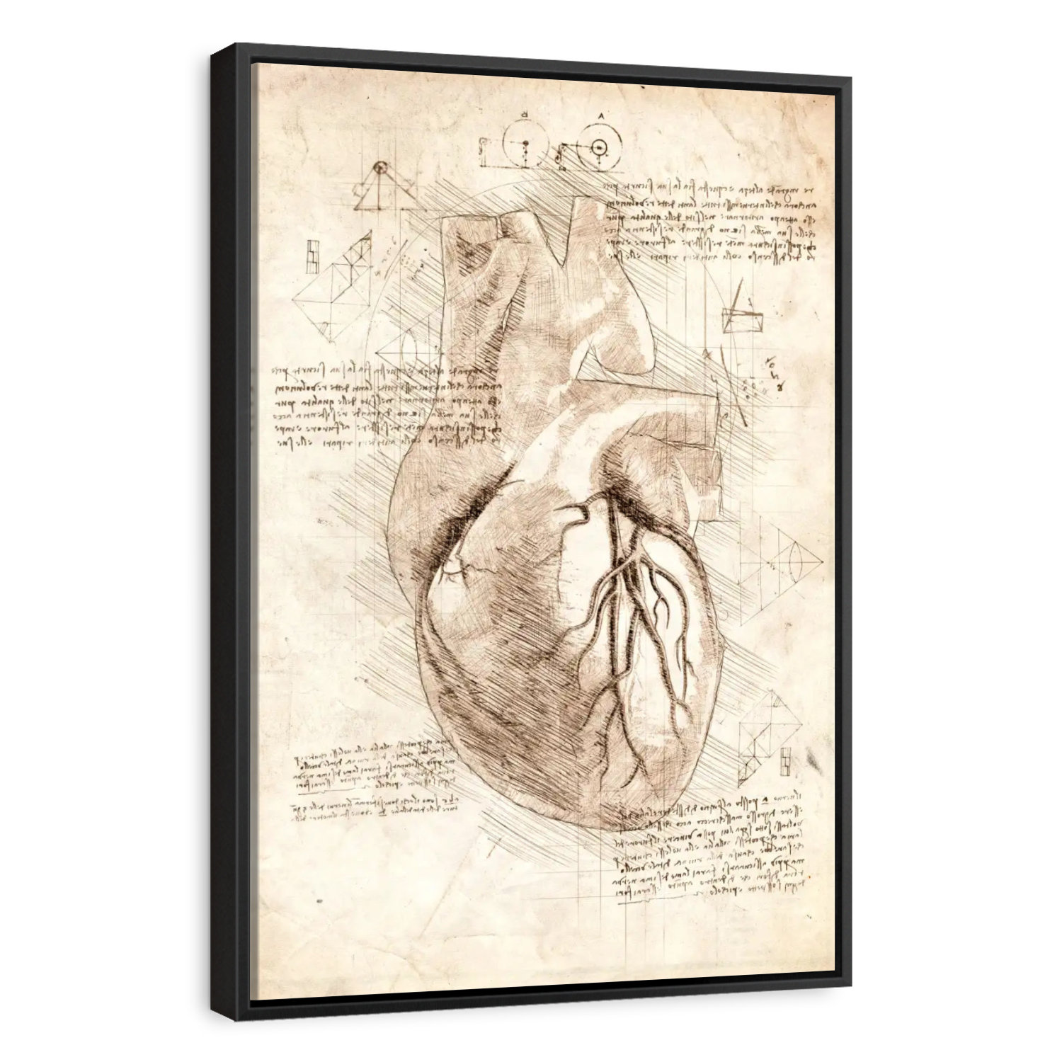 Ebern Designs Human Heart - Wayfair Canada