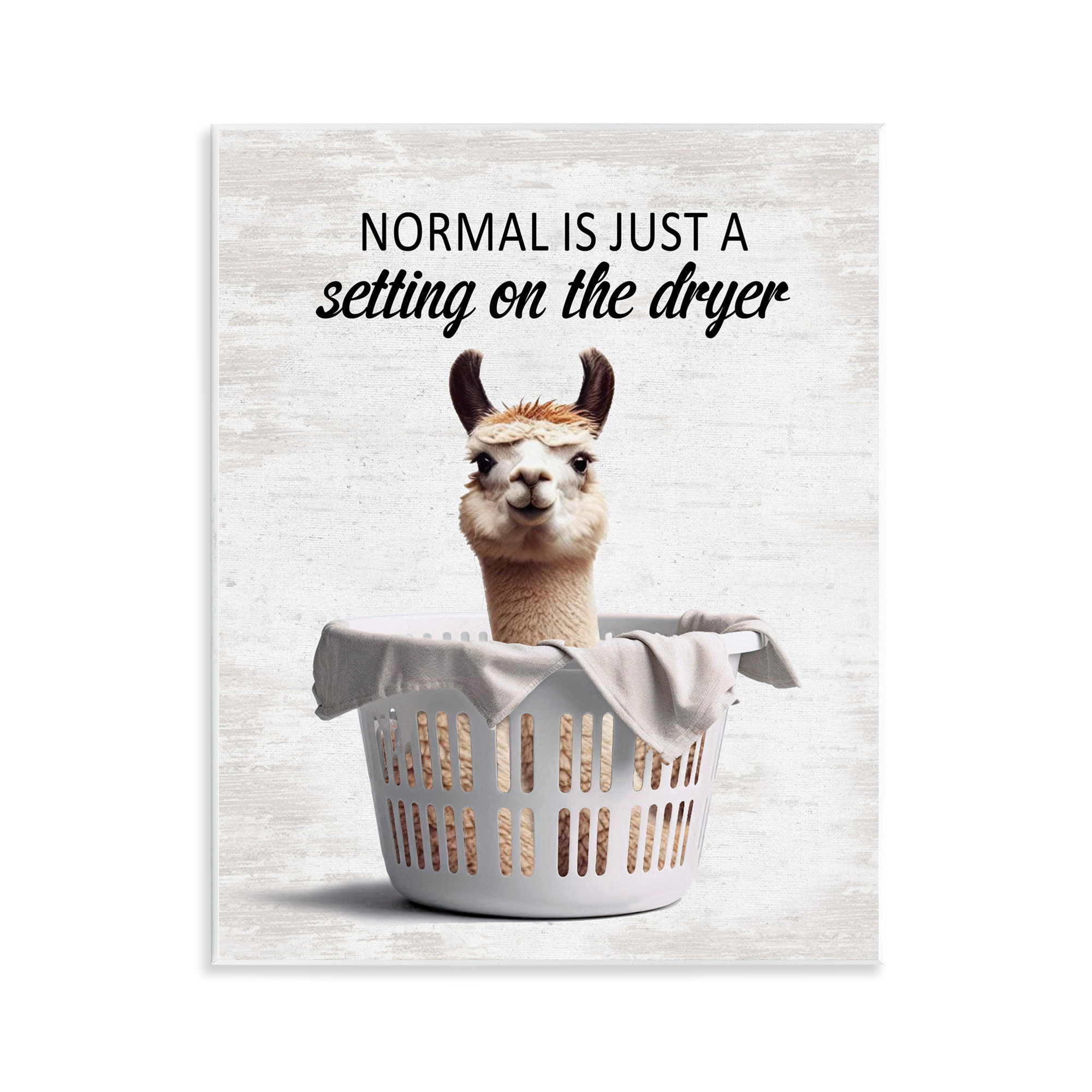 Stupell Industries Funny Normal Dryer Quote Wall Plaque, design by ...