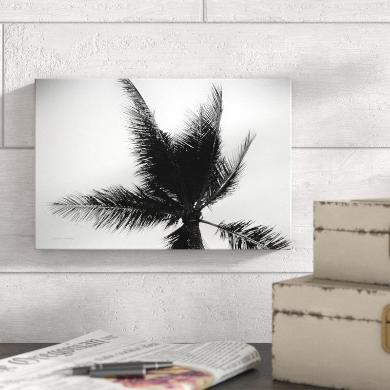 Bay Isle Home™ Reproduction de photo sur toile, "Palm Tree Looking up ...