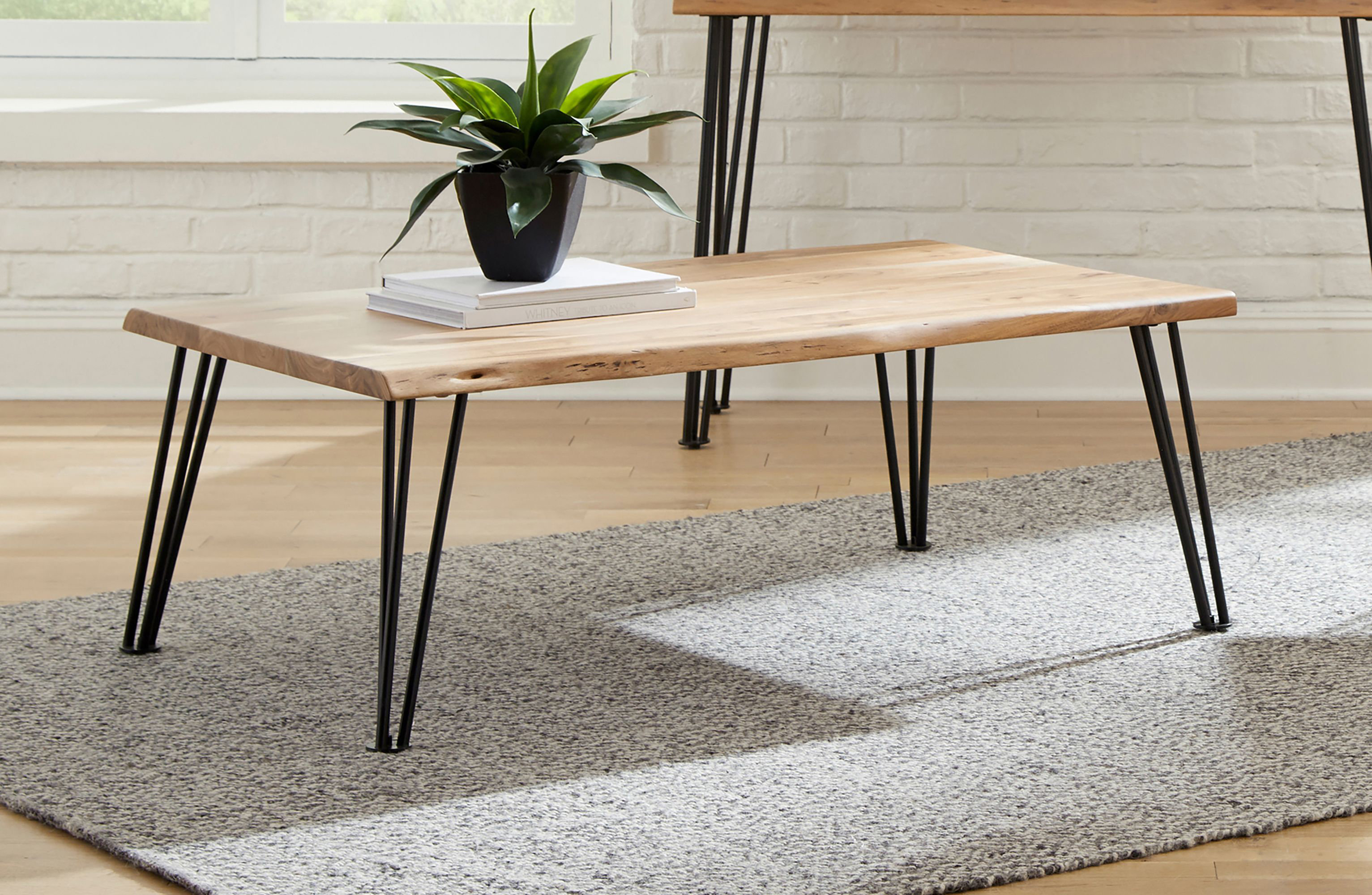 17 Stories Delphi Coffee Table | Wayfair