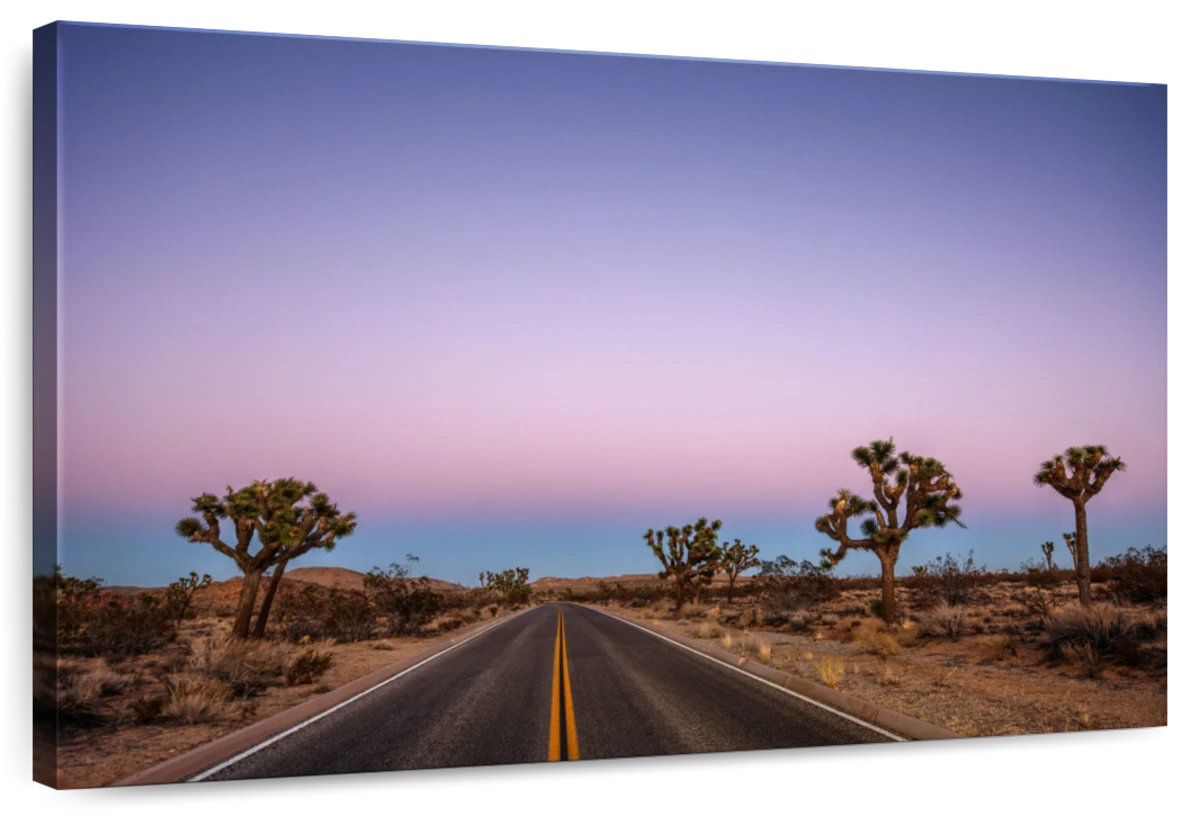 Ebern Designs Mehar Joshua Park Highway | Wayfair