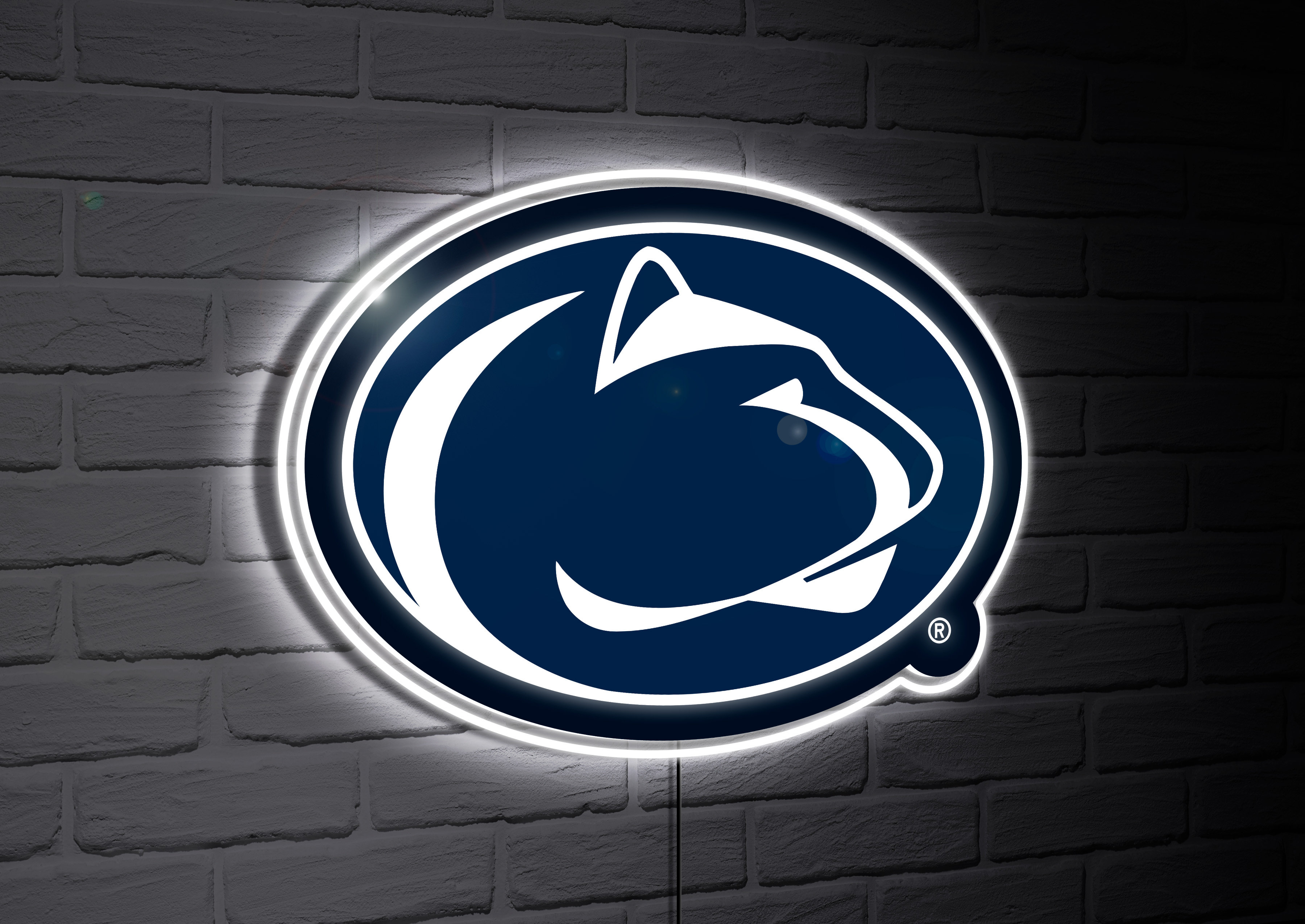 Evergreen Enterprises, Inc LED University of Nebraska Team Logo Shaped ...