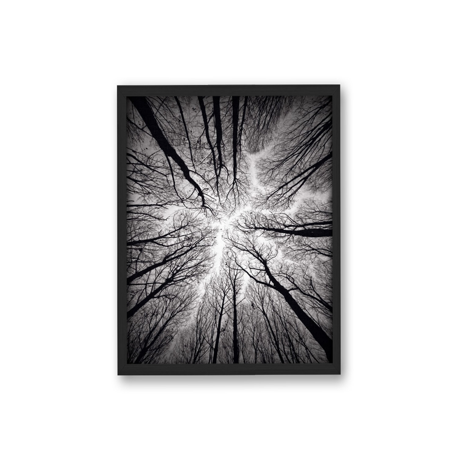 Union Rustic Ceiling - Graphic Art Print & Reviews | Wayfair