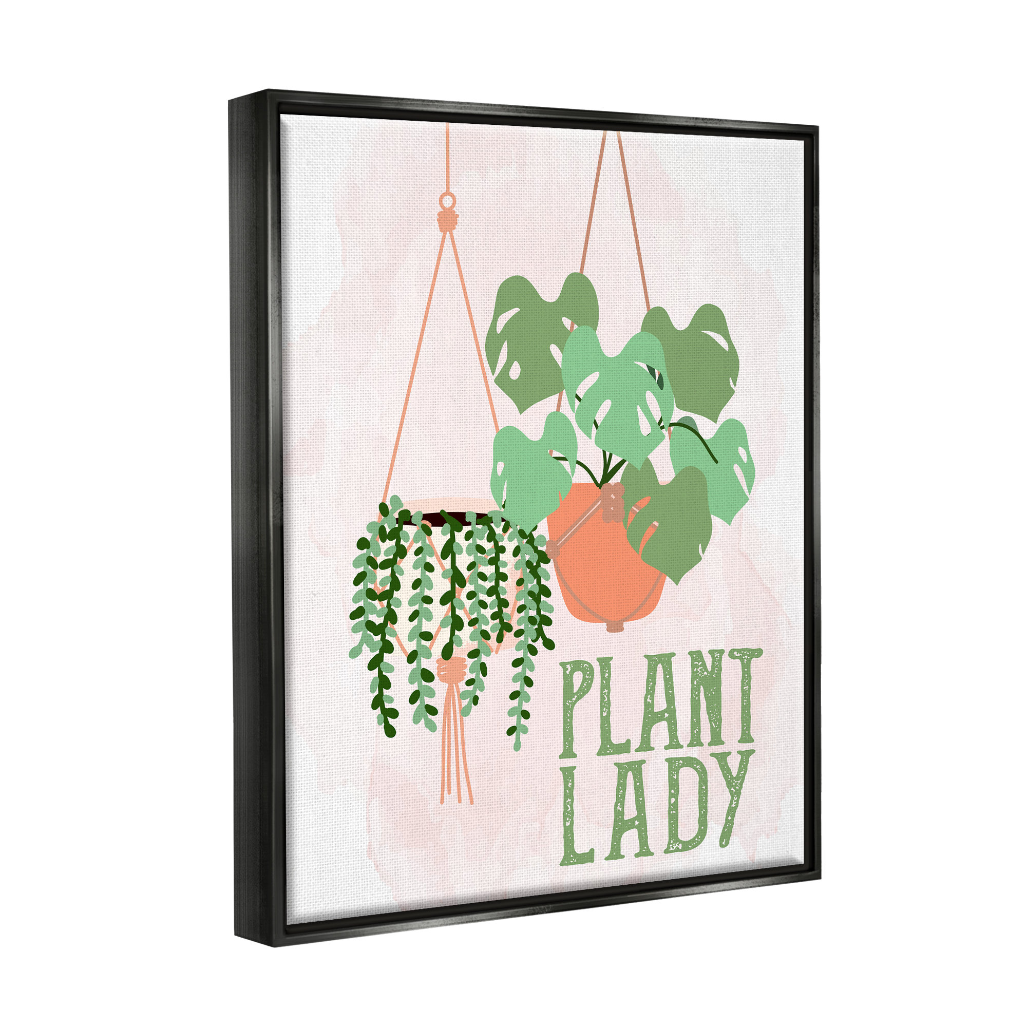 Stupell Industries Casual Plant Lady Hanging Green Potted Vegetation by ...