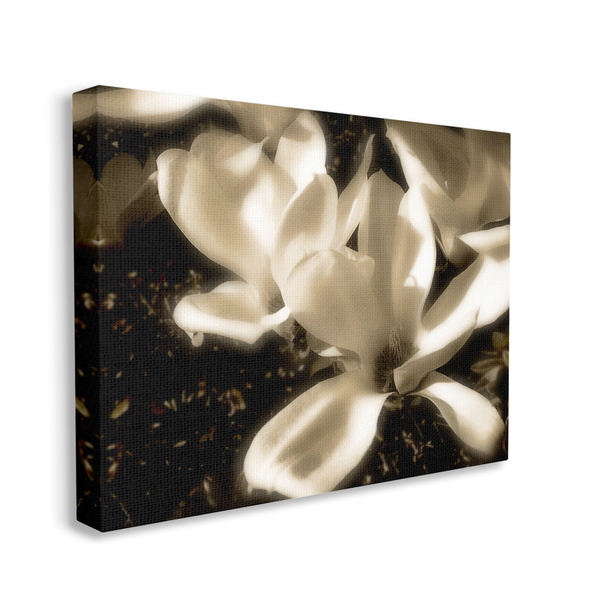 Winston Porter Plant Petals In Nature Canvas Wall Art Design By Noah ...