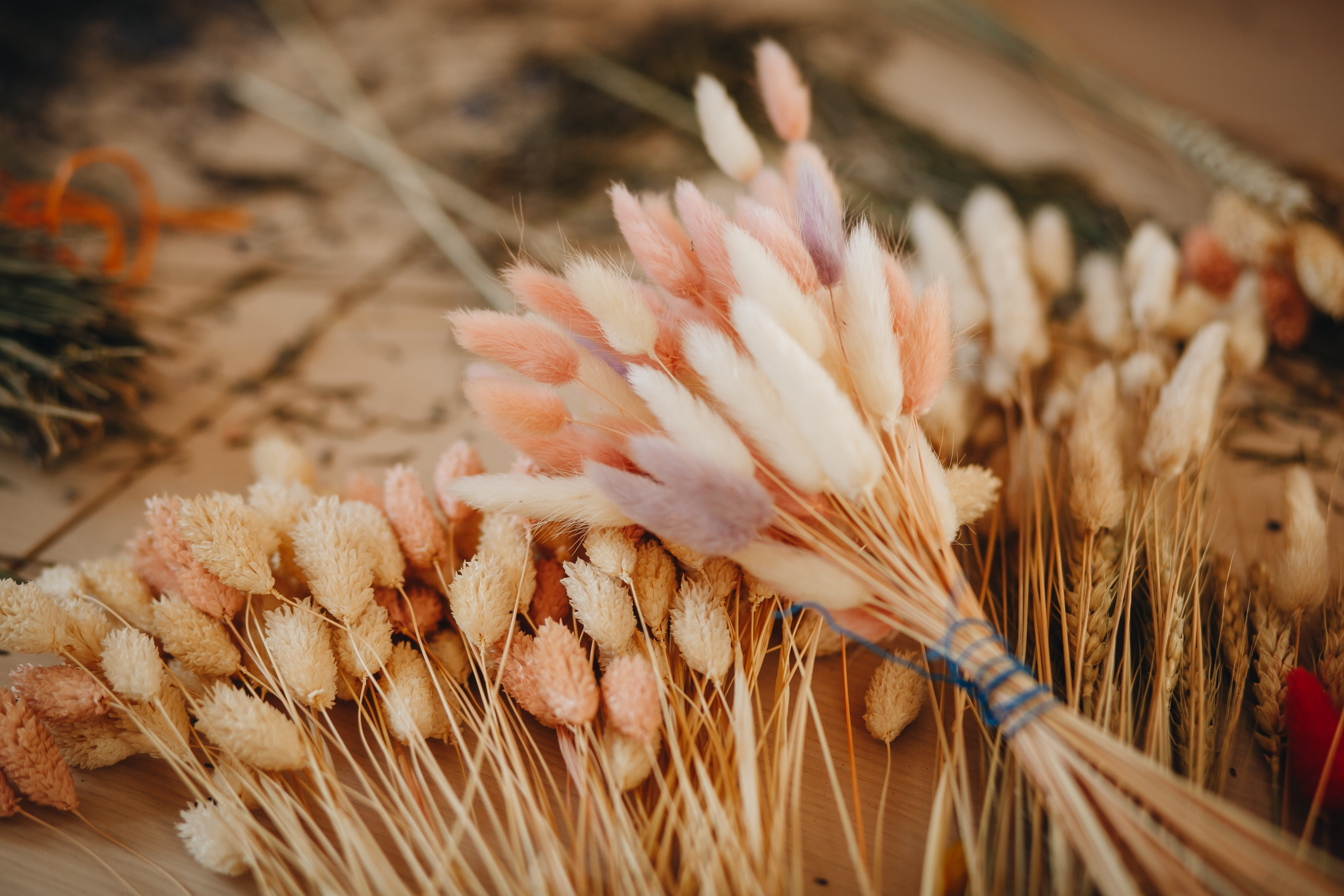 Ebern Designs Dried Flowers - Wayfair Canada