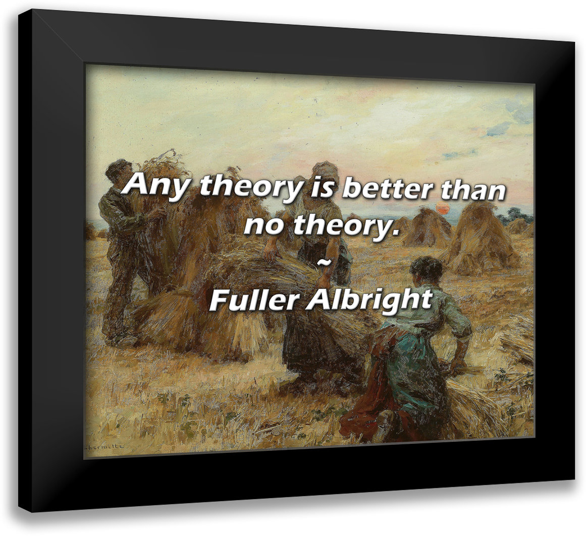 Ivy Bronx Fuller Albright Quote: Any theory is better than no theory ...