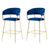 Everly Quinn Mata Counter & Bar Stool & Reviews | Wayfair
