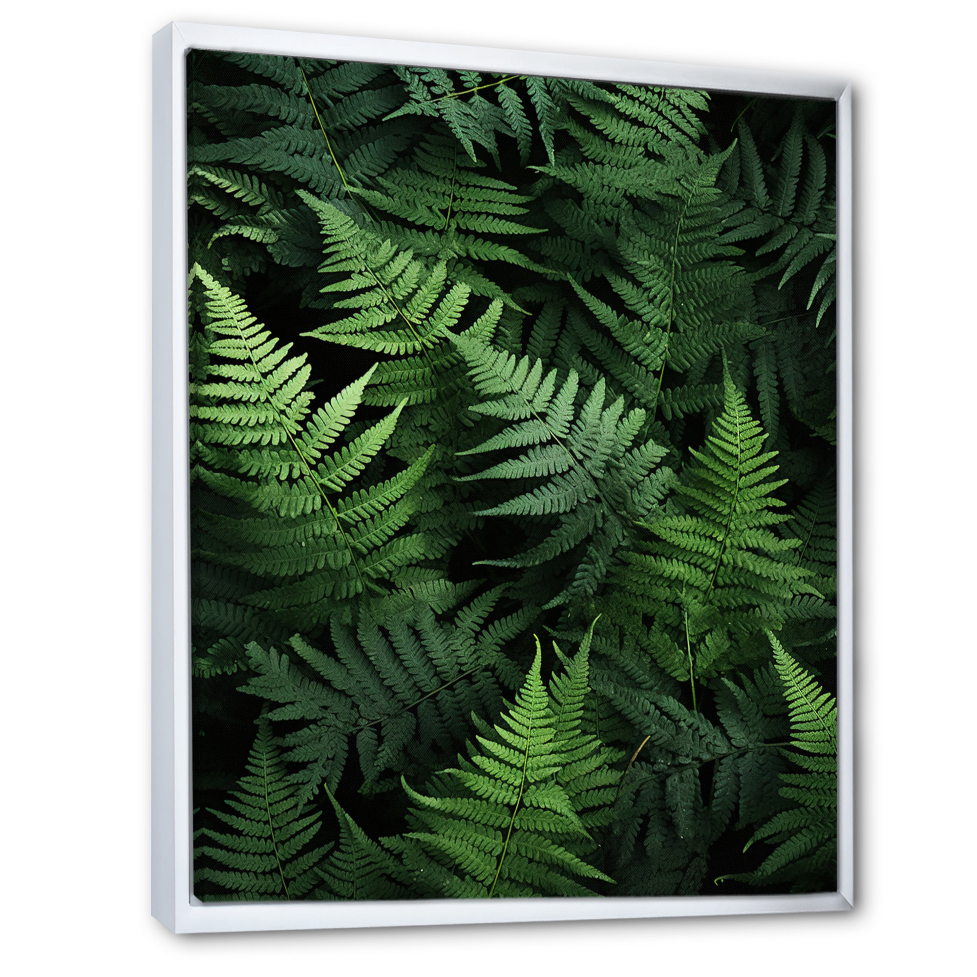 Bay Isle Home™ Ferns Plant Whispering Fronds I - Floral & Botanical ...
