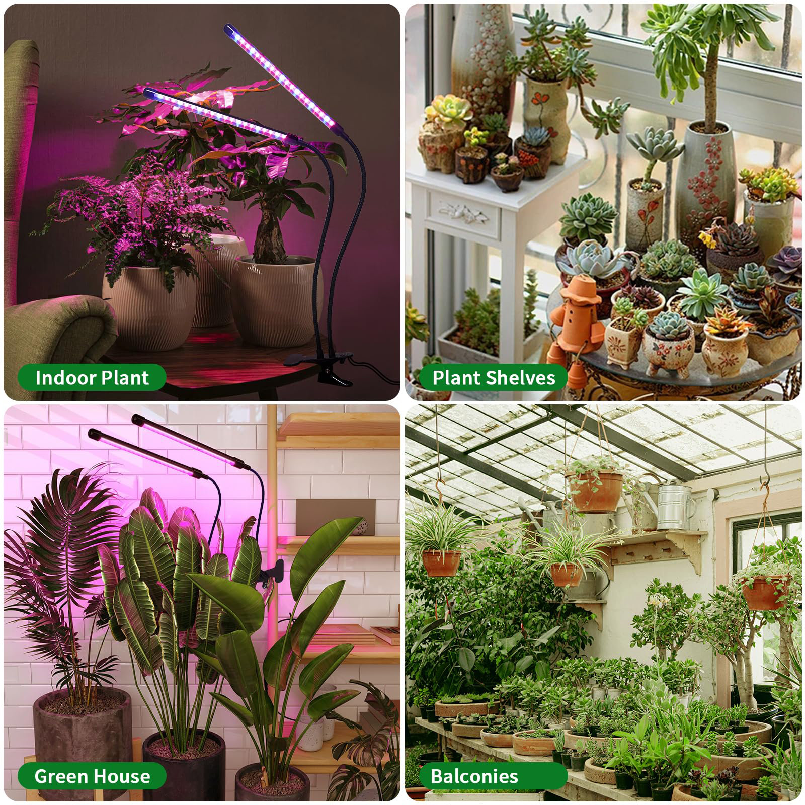 BEACHWATER POOL & SPA, LLC Plant Grow Light With Battery Run Day/Night ...
