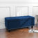 Willa Arlo Interiors Worcester Velvet Ottoman & Reviews | Wayfair
