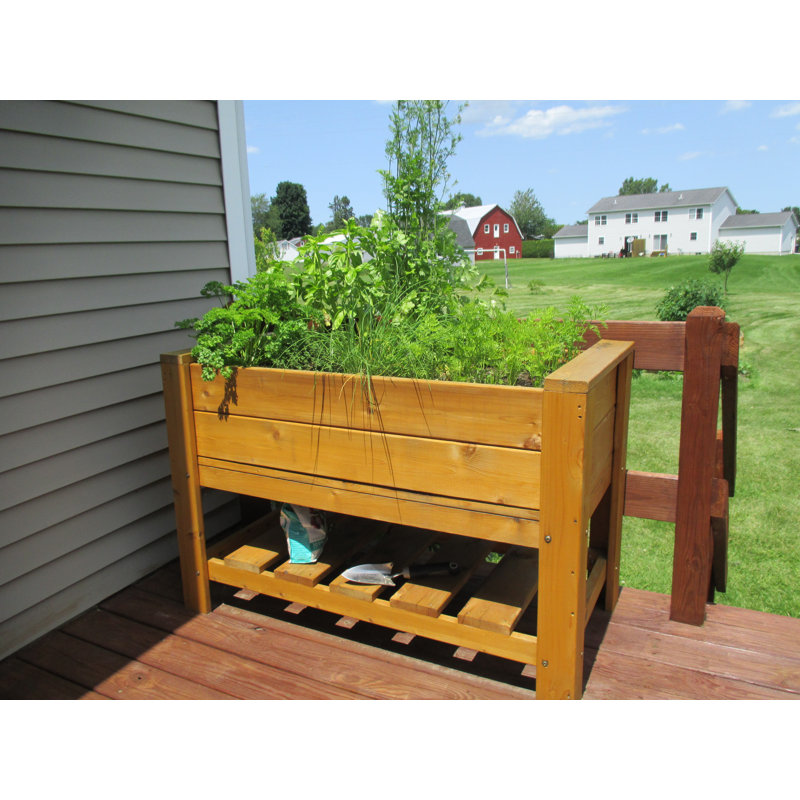 Arlmont & Co. Tony Wood Elevated Planter & Reviews | Wayfair