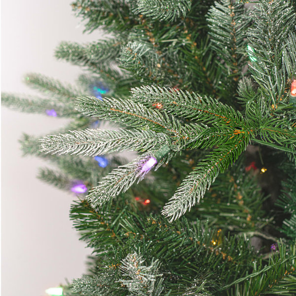 The Holiday Aisle® Vickerman Frosted Albany Spruce Artificial Pre-Lit ...