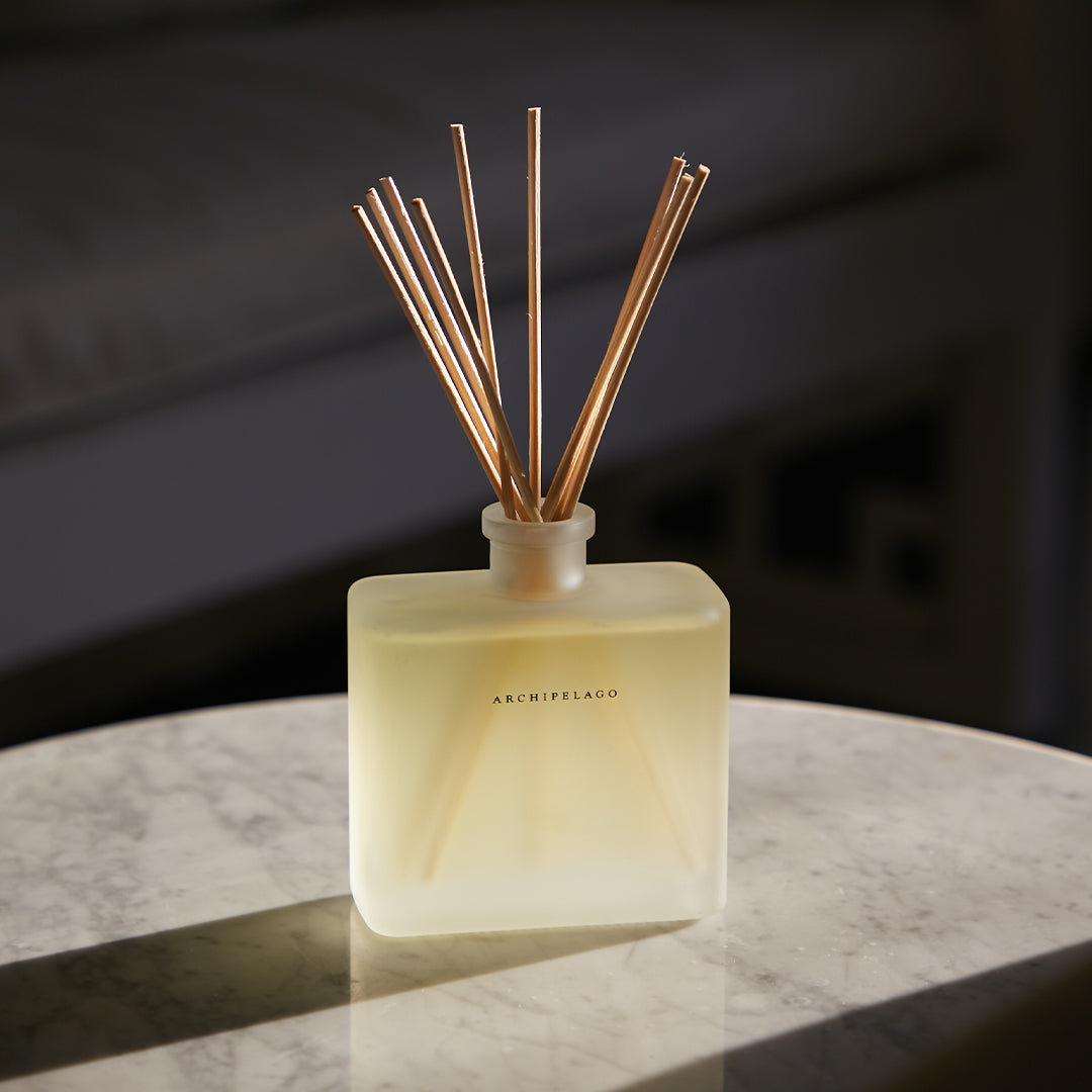 Archipelago Rue Saint-Honoré Reed Diffuser | Perigold