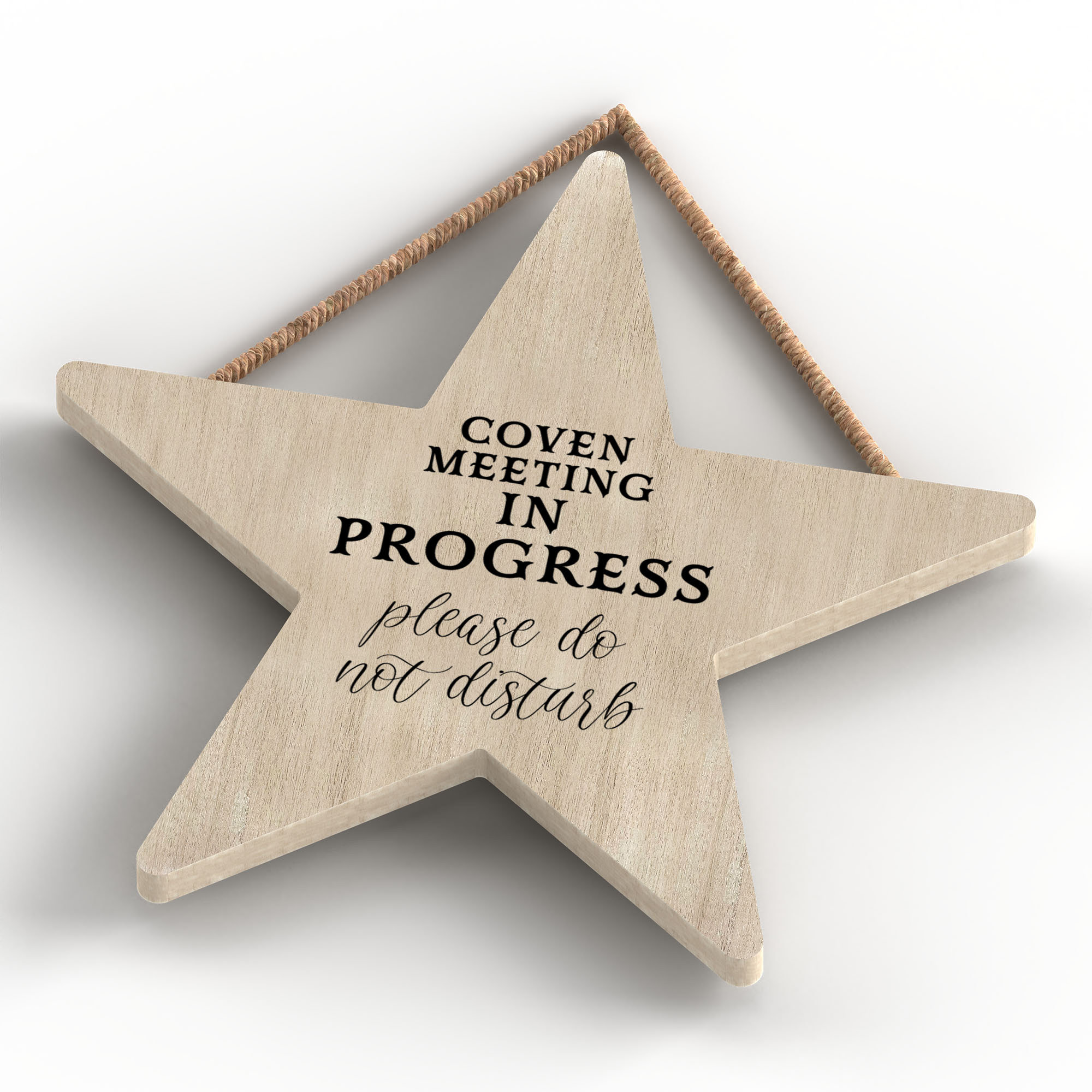 The Seasonal Aisle Witch Coven Meeting Wooden Star Plaque | Wayfair.co.uk