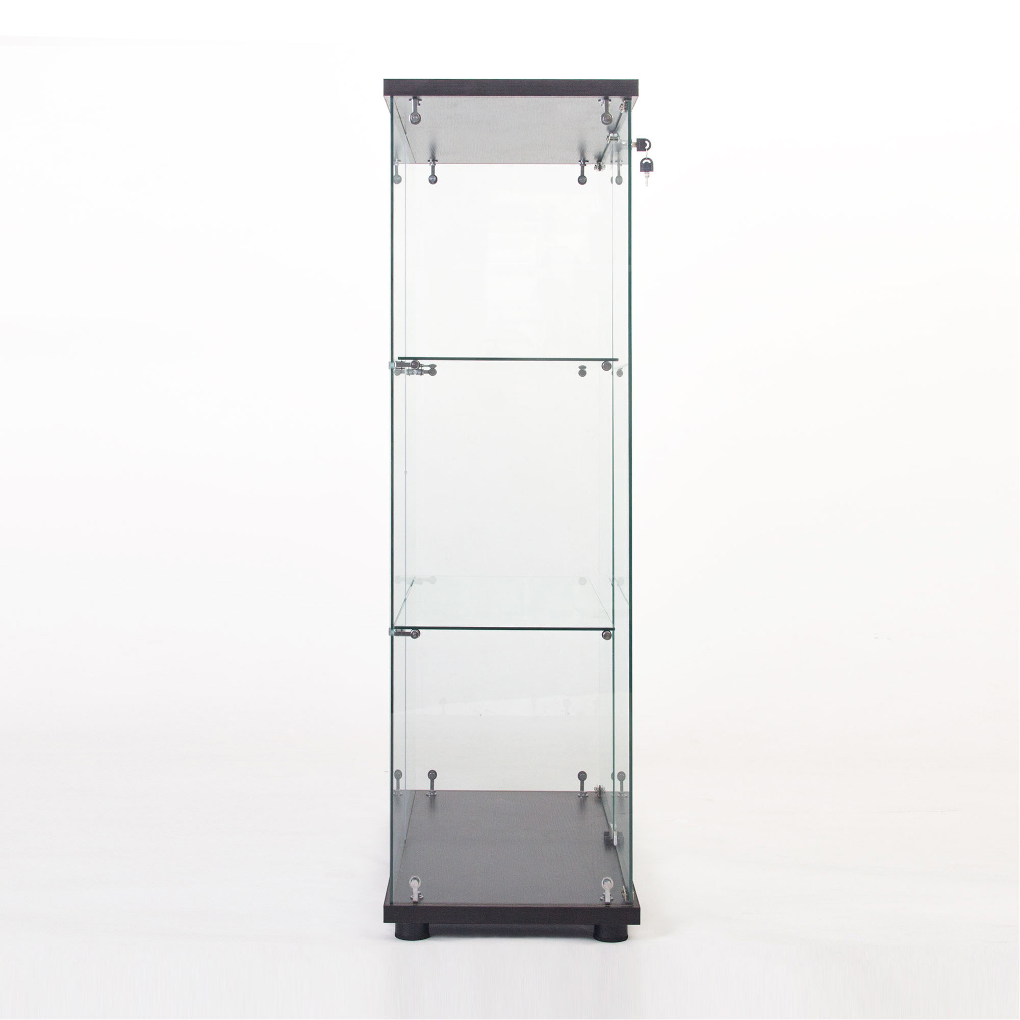 AONYAYBM 2 Door Glass Display Cabinet, Floor Standing Curio Bookshelf ...