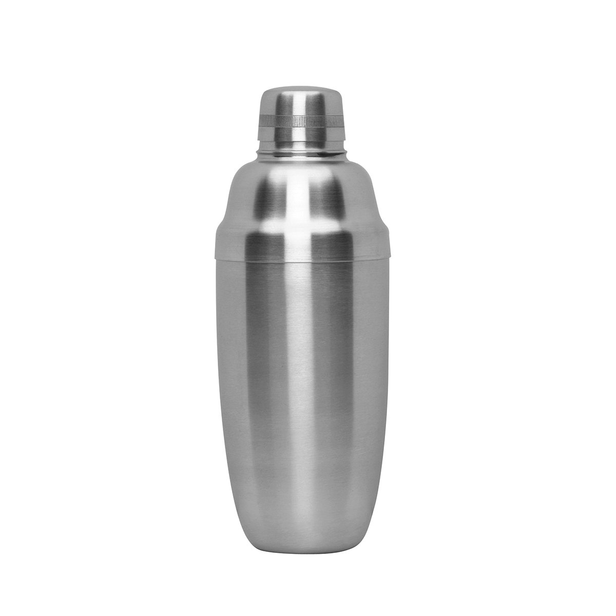 Ivy Bronx Fuson Stainless Steel Cocktail Shaker | Wayfair