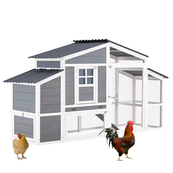 Archie & Oscar™ Flitwick 81” Large Chicken Coop with Chicken Run ...