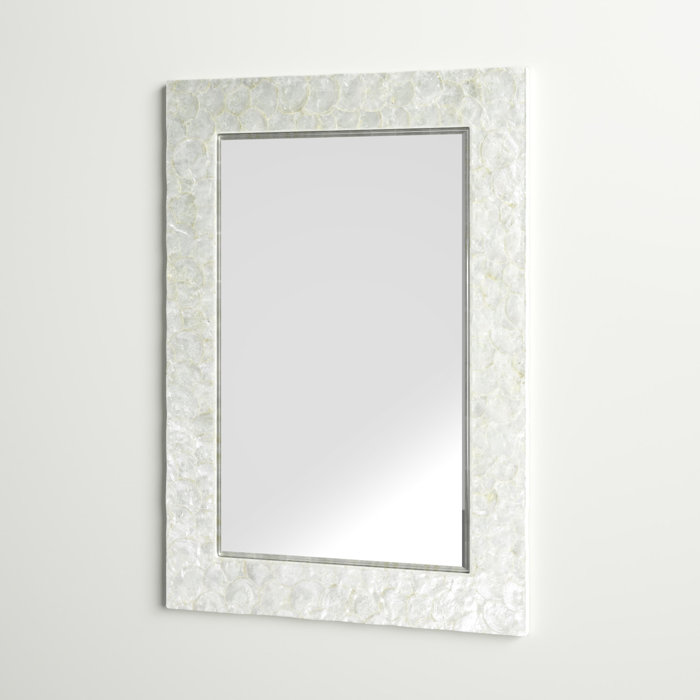 Latitude Run® Javione Traditional Beveled Wall Mirror & Reviews | Wayfair