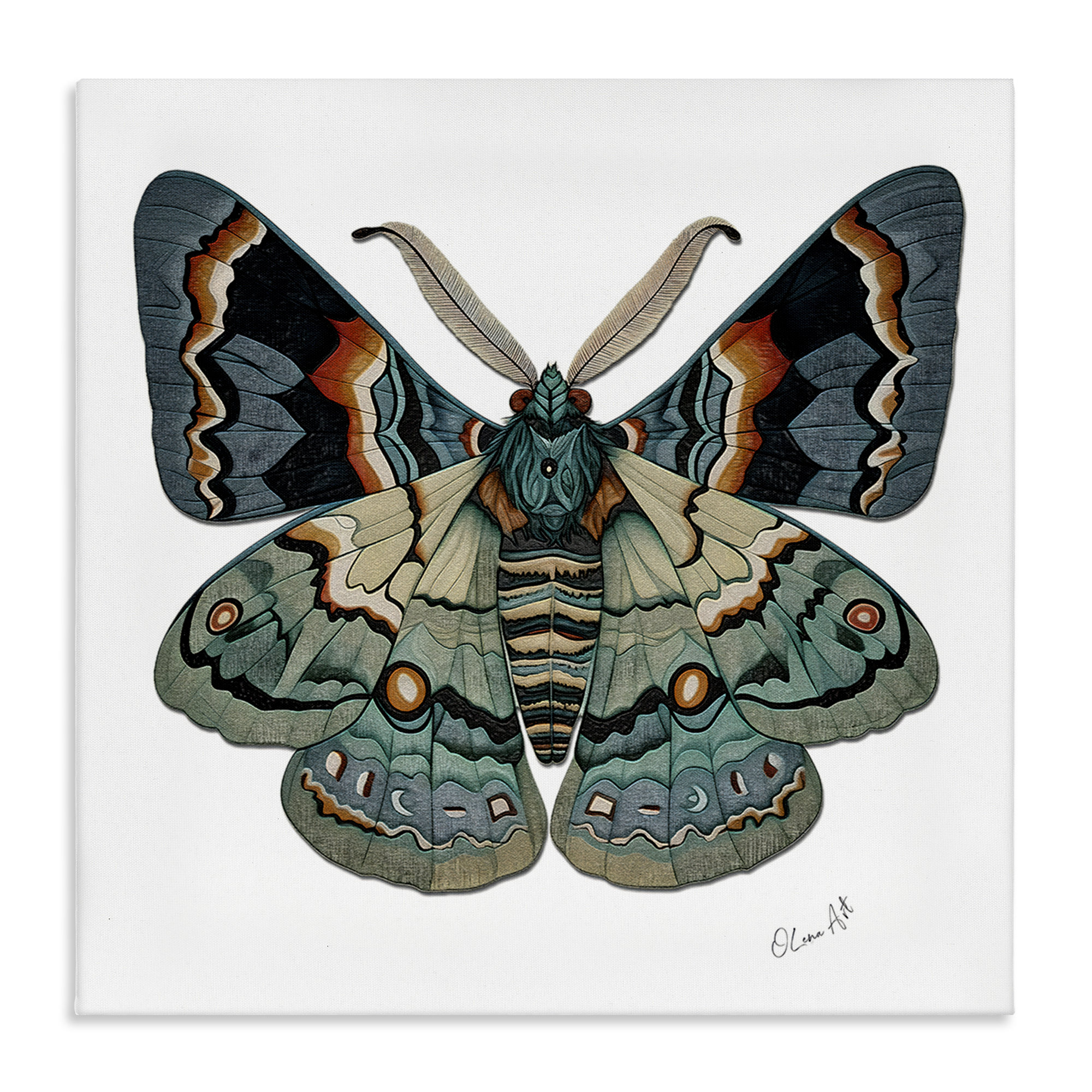 August Grove Symbol Of Change Moth Canvas Wall Art by Lena Owens ...