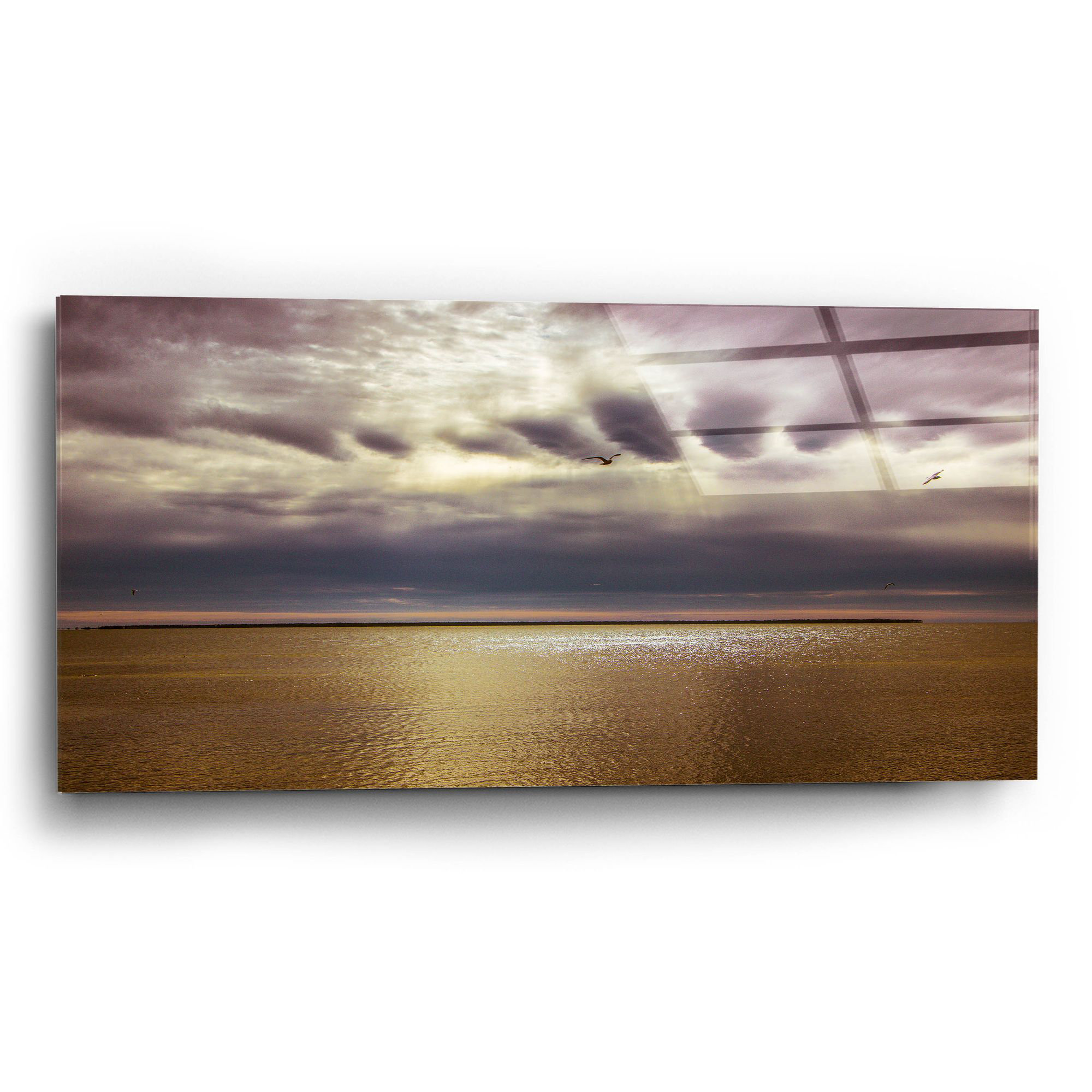 Dovecove To Face This Day On Plastic/Acrylic by Eunika Rogers Print ...
