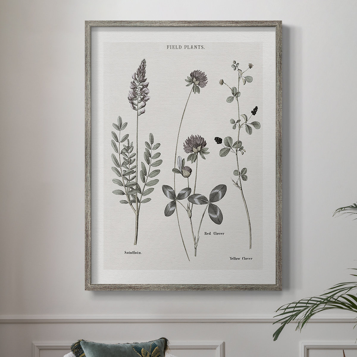 Red Barrel Studio® Multi Botanical II Framed Print - Solid Wood 48180 ...