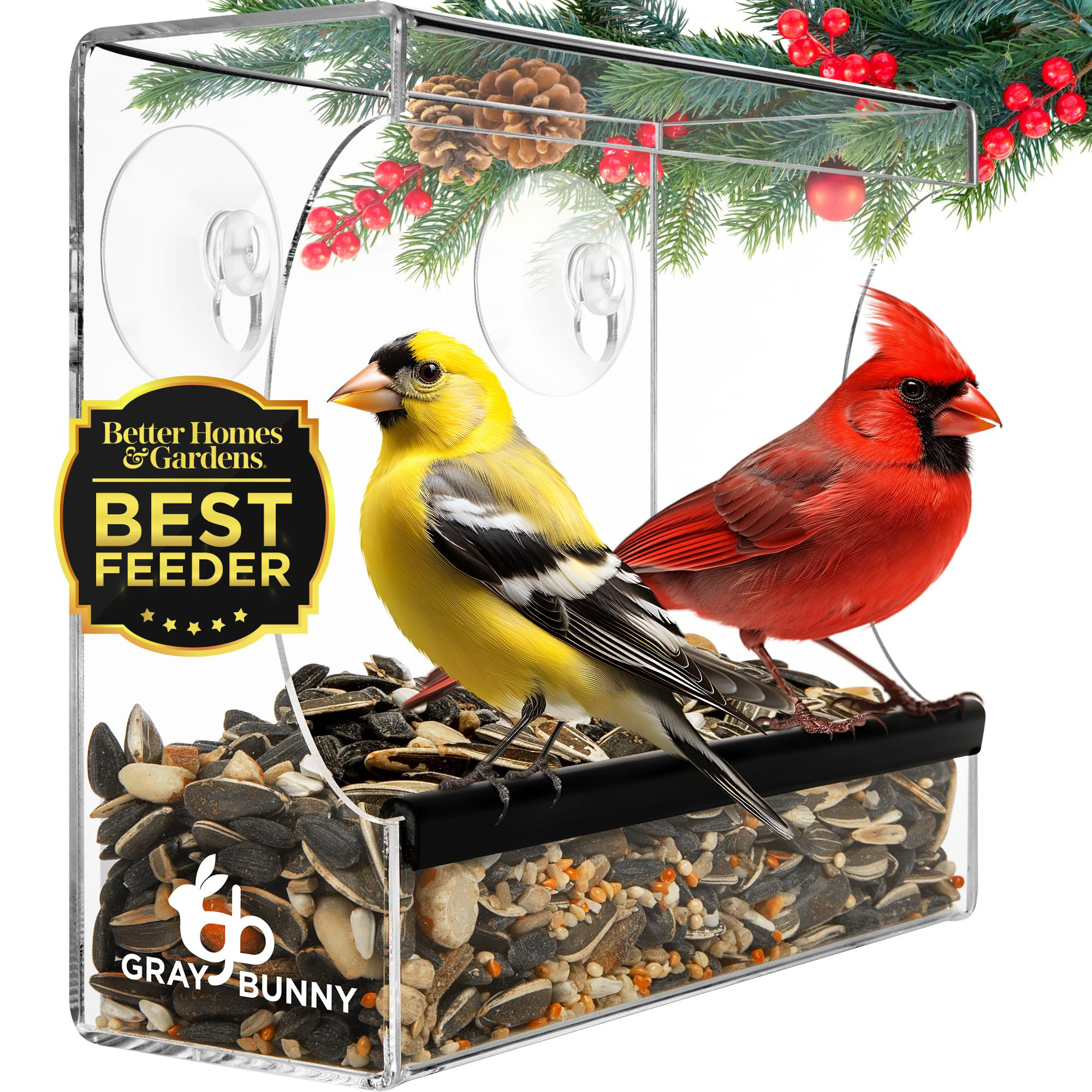 Arlmont & Co. Window Bird Feeder With Strong Suction Cups, Rectangle ...