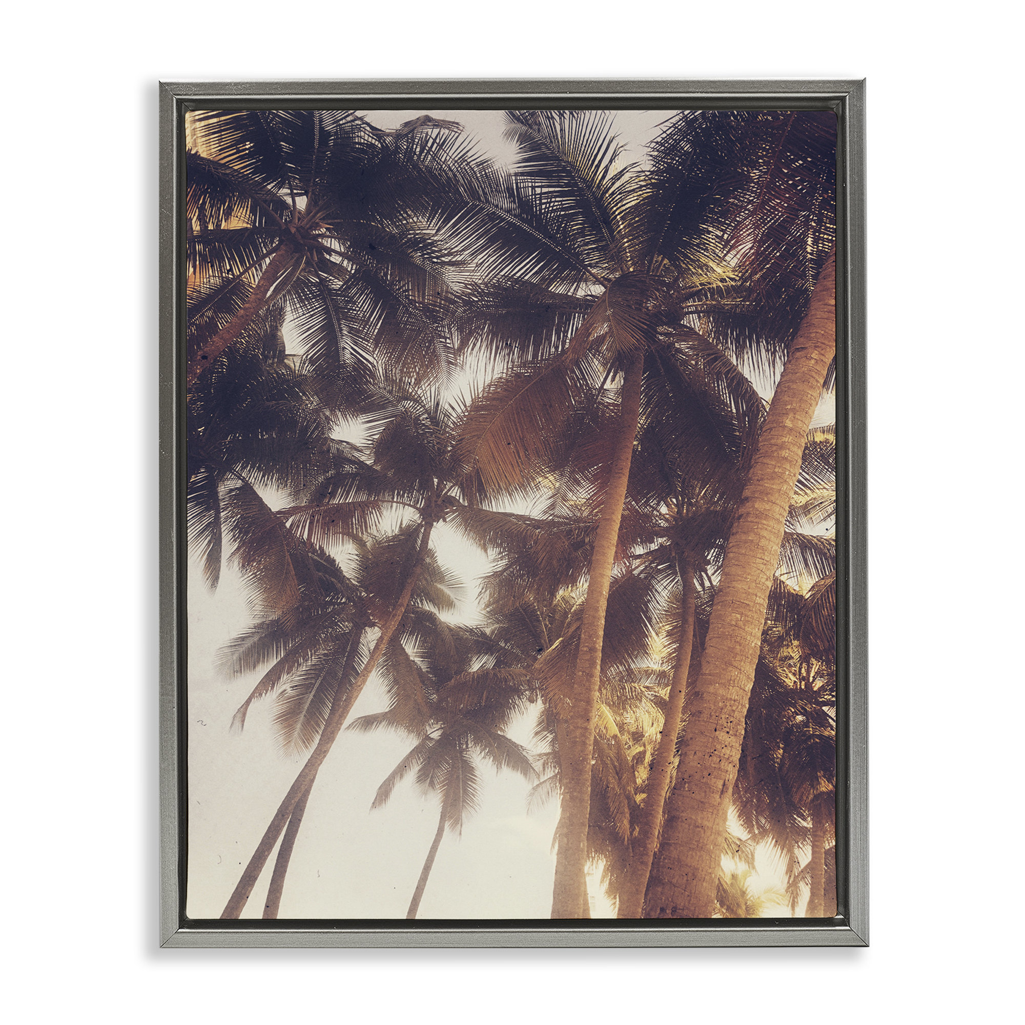 Bay Isle Home™ Sunlit Palm Tree Framed Floater Canvas Wall Art by ...