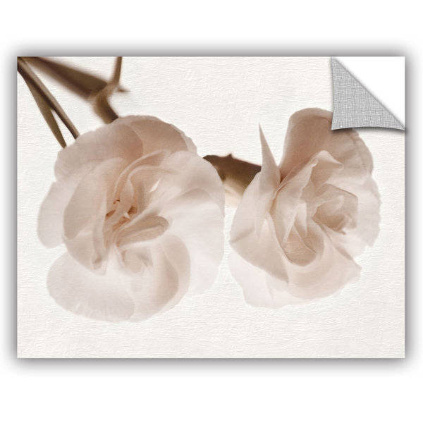 Ophelia & Co. Pledger Plants & Flowers Non-Wall Damaging Wall Decal ...