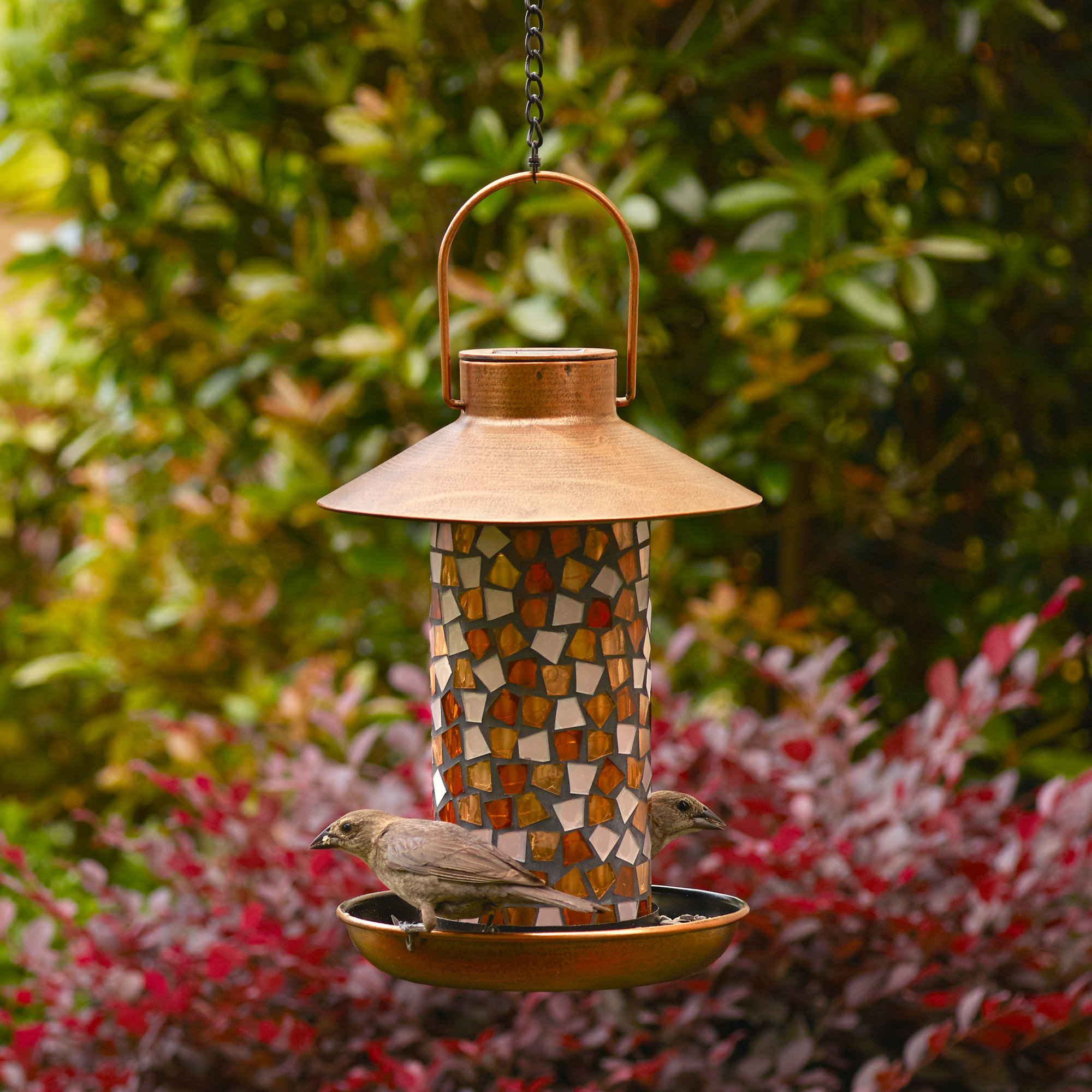 Red Barrel Studio® Mosaic Solar Decorative Bird Feeder & Reviews | Wayfair