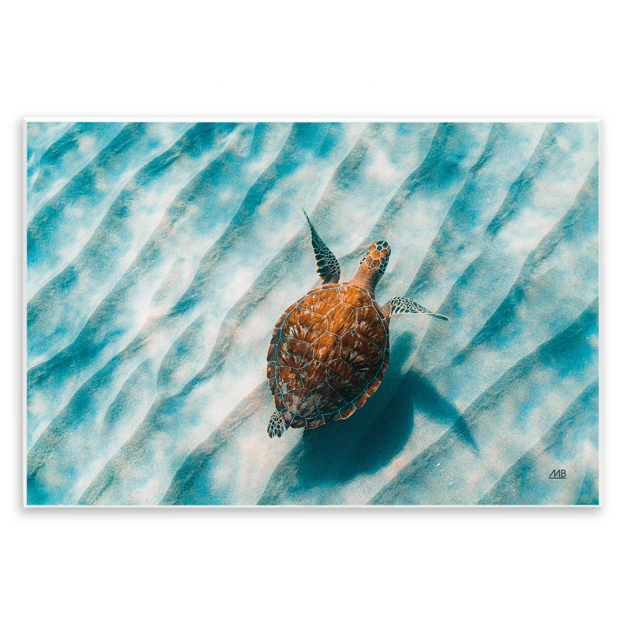 Ophelia & Co. Sandbar Sea Turtle Wall Plaque Art by Max Blakesberg ...