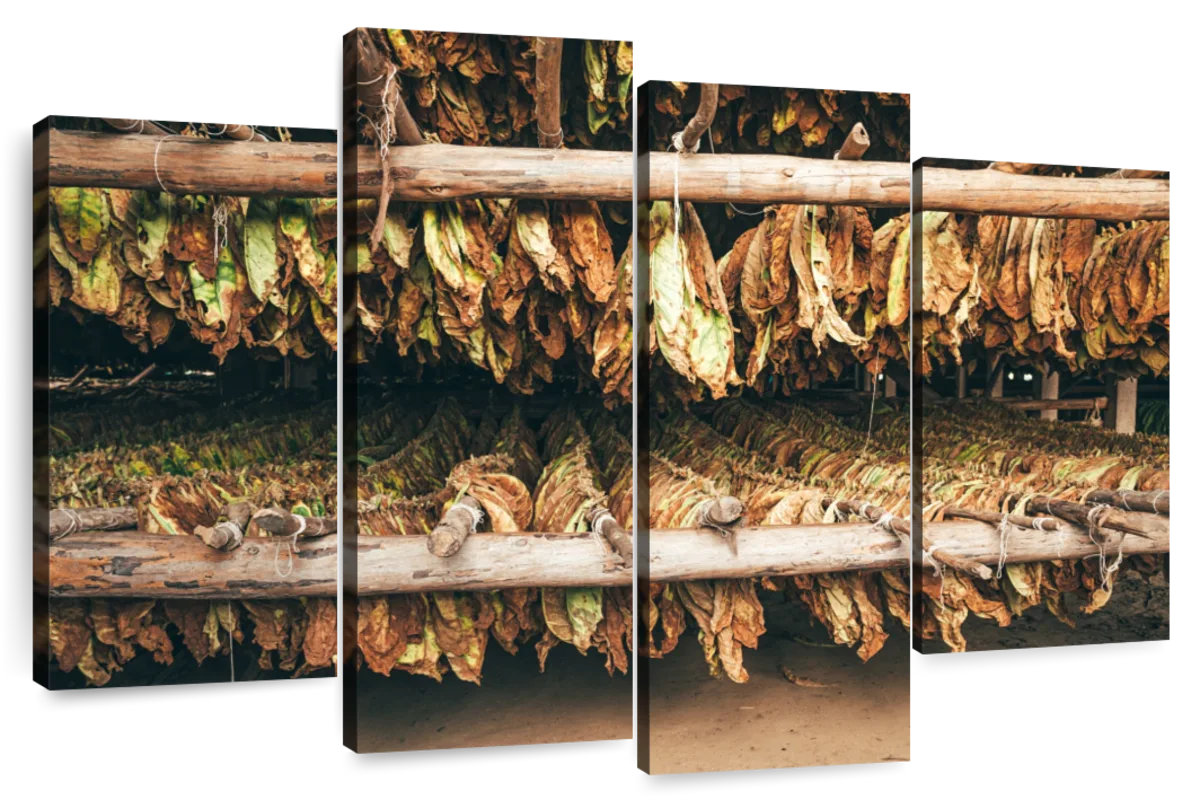 Lark Manor™ Harnek Tobacco Curing | Wayfair