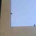 Red Barrel Studio® Millville Picture Frame "& Reviews" | Wayfair