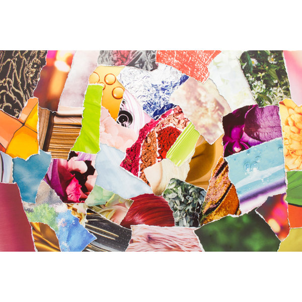 Maggi | Wayfair.co.uk