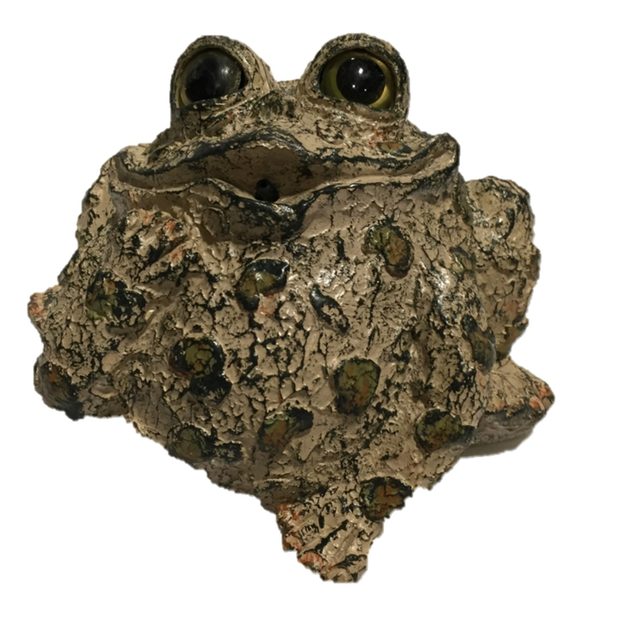 HomeStyles Toad Hollow Motion Activated Whistling Toad Figurine | Wayfair