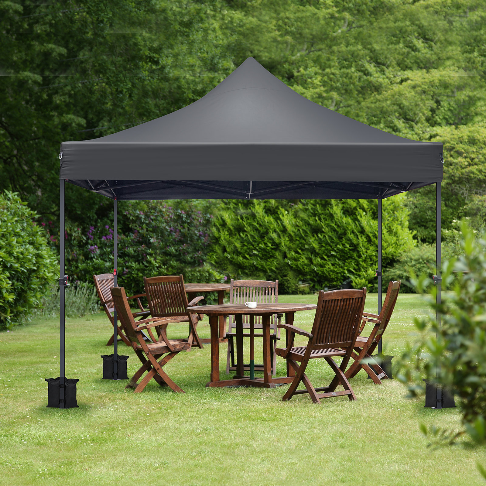 Winado 10 Ft. W x 10 Ft. D Metal Pop-up Canopy & Reviews | Wayfair