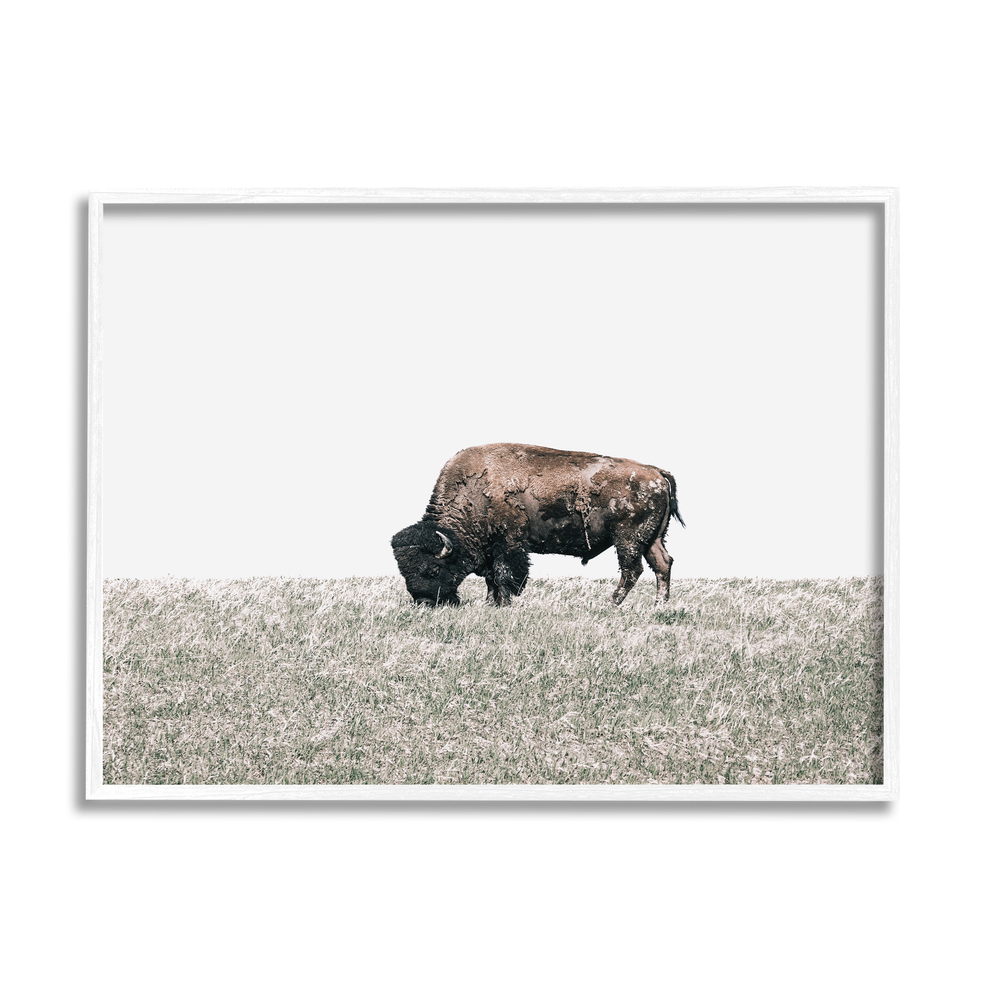 Stupell Industries Buffalo Grazing Pasture Framed Giclee Art Design By ...