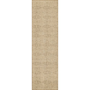 Runner Outdoor Rugs You'll Love | Wayfair