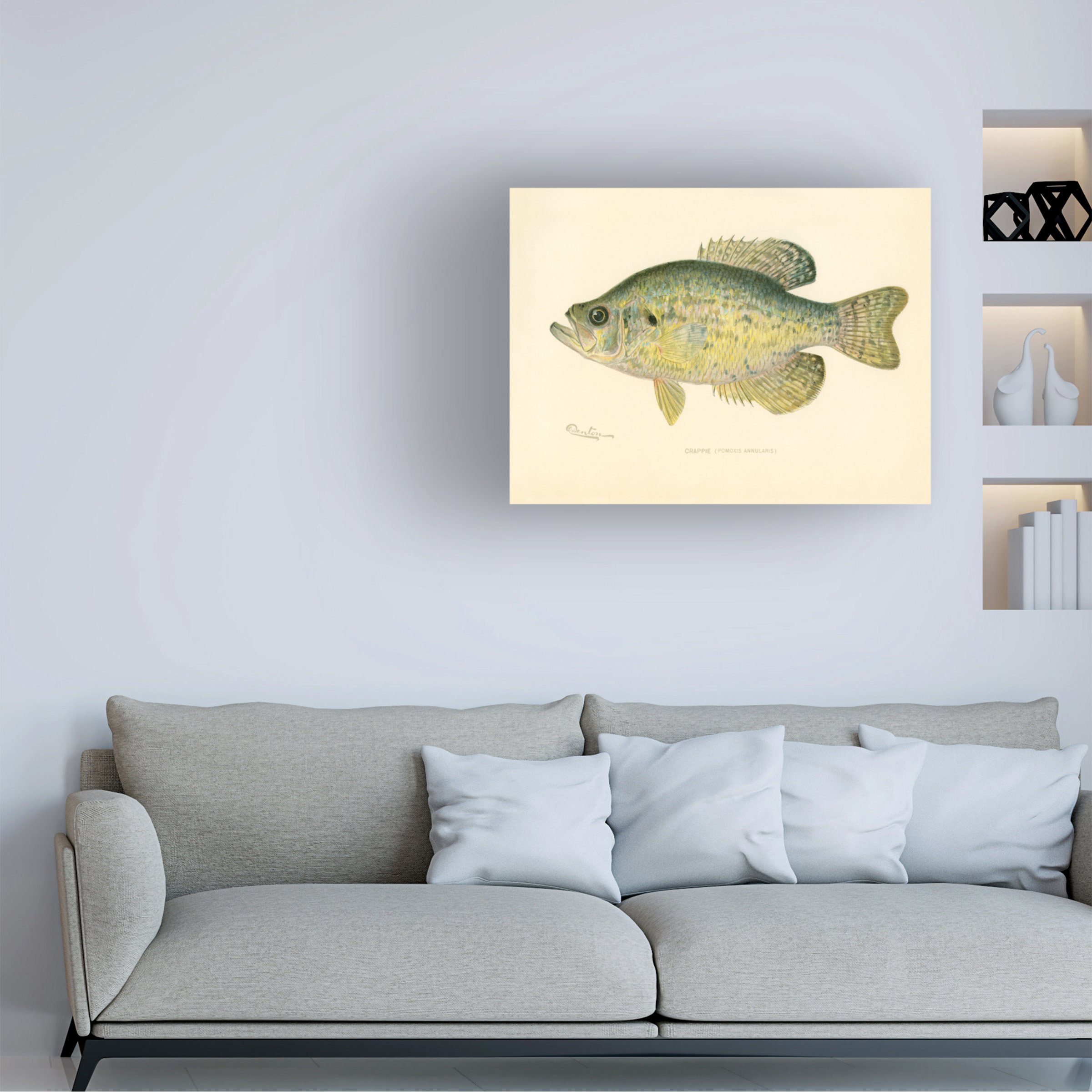 Highland Dunes Crappie On Canvas by Print Collection Print | Wayfair